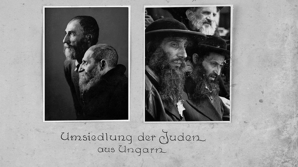 Auschwitz-Fotografien: Neue Erkenntnisse aus alten Bildern | MDR.DE