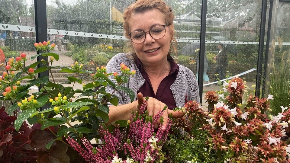 Beispiel für eine Herbstbepflanzung im Balkonkasten | MDR.DE