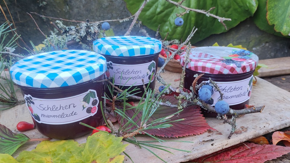 In Bildern: Schlehenkompott selber herstellen | MDR.DE