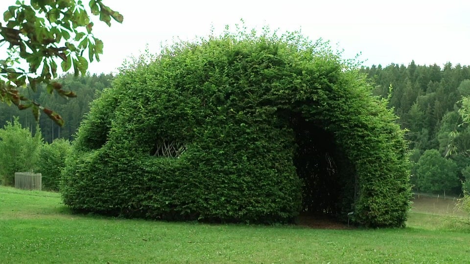 Grüne Lauben planen, anlegen und gestalten | MDR.DE