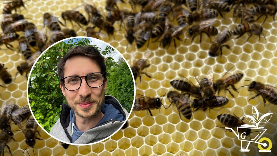#63: Honigernte | MDR.DE