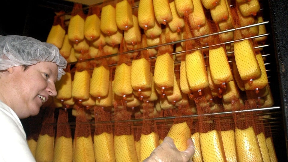 Unternehmen aus Baden-Württemberg übernimmt Käse aus der Börde | MDR.DE