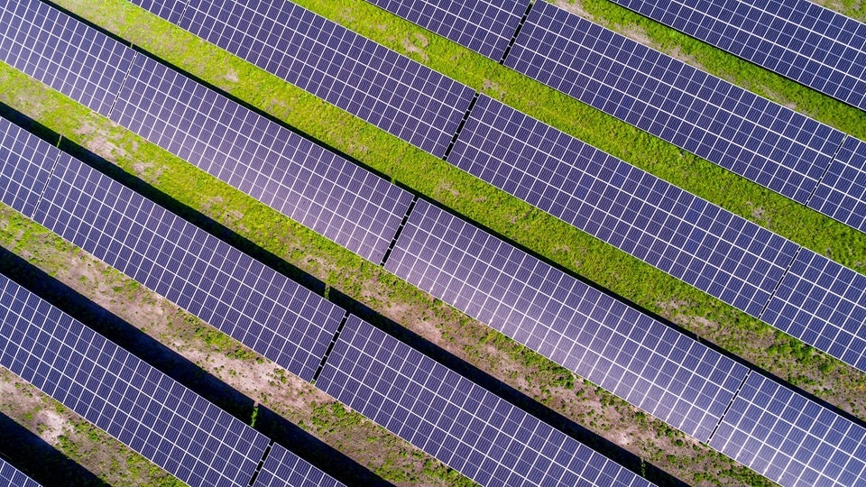 Leichte Sprache: In der Nähe von der Stadt Zerbst wird ein neuer Solar-Park gebaut | MDR.DE