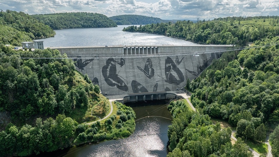 Harz: Riesiges Schmetterlings-Graffiti schmückt Rappbodetalsperre | MDR.DE