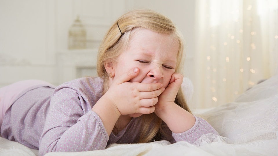 Was ist ein Kuck-Specht, und warum ist Willi so müde? | MDR.DE