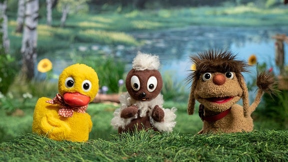 Unser Sandmann hatte Geburtstag! | MDR.DE