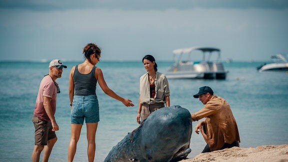 Retter der Meere: Tödliche Strandung | MDR.DE