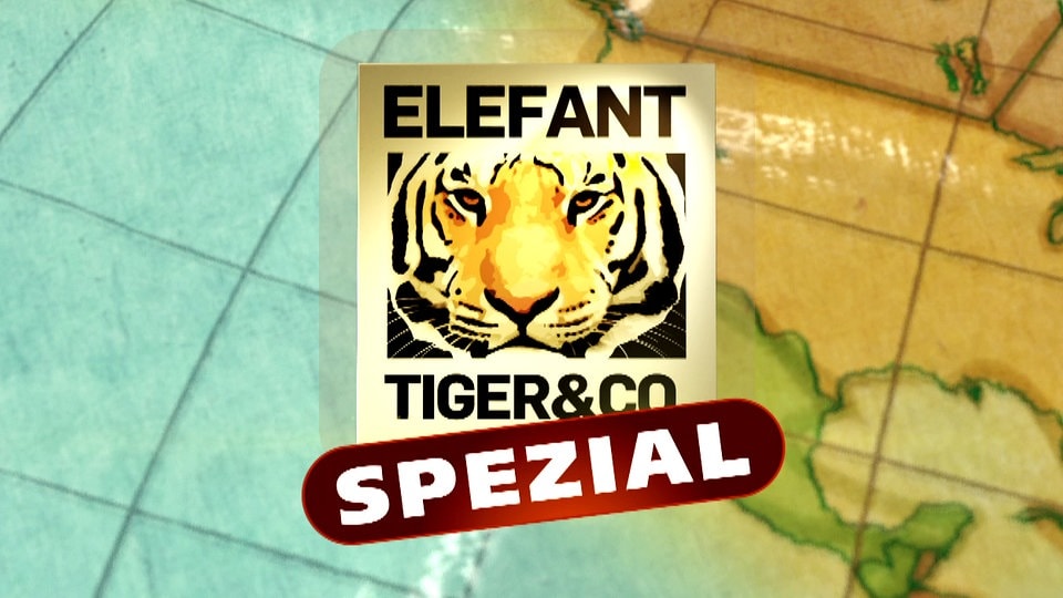 Elefant, Tiger & Co. - Spezial | MDR.DE