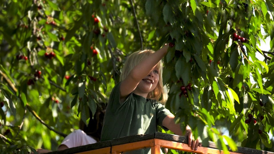 Das Dorf - Landleben in der Altmark - Staffel 2 | MDR.DE