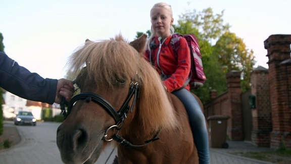 Das Dorf - Landleben in der Altmark | MDR.DE