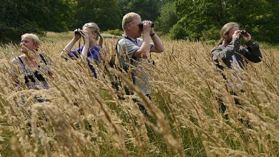 Birdrace: 41 Teams aus Mitteldeutschland auf "Vogeljagd" | MDR.DE