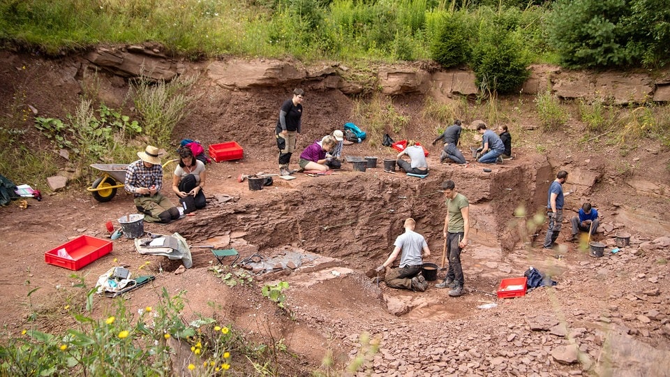 290 Millionen Jahre alte Ursaurier im Thüringer Wald - am Bromacker ...