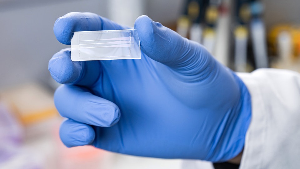 Alleskönner: Schweizer Forscher entwickeln Corona-Schnelltest für ...