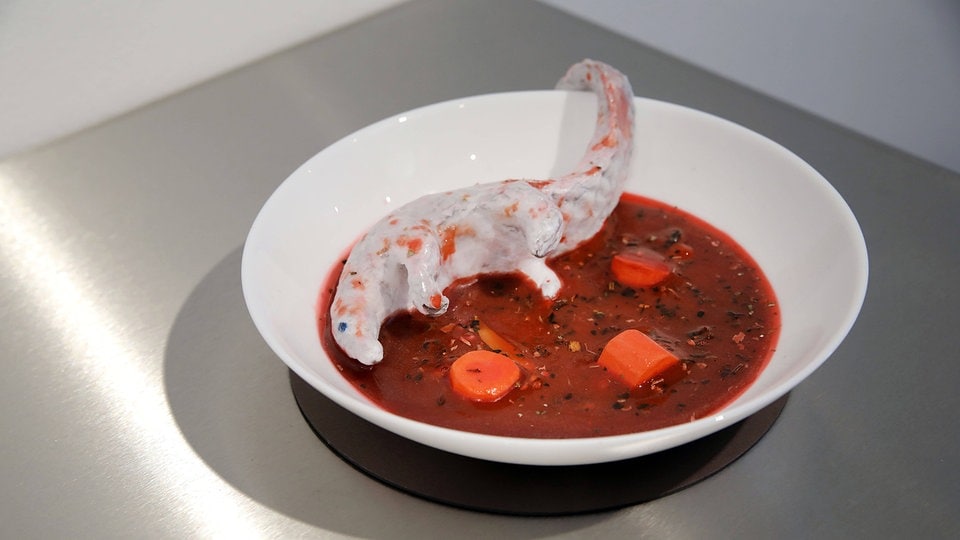 Warum ekeln wir uns? Und lässt sich der Ekel überwinden? | MDR.DE