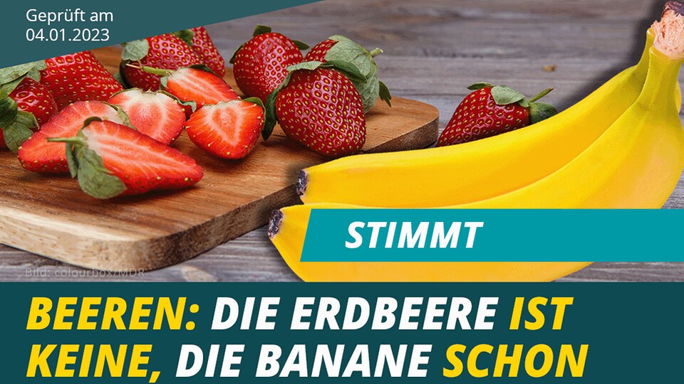 ️ Stimmt: Beeren: Die Erdbeere ist keine, die Banane schon | MDR.DE