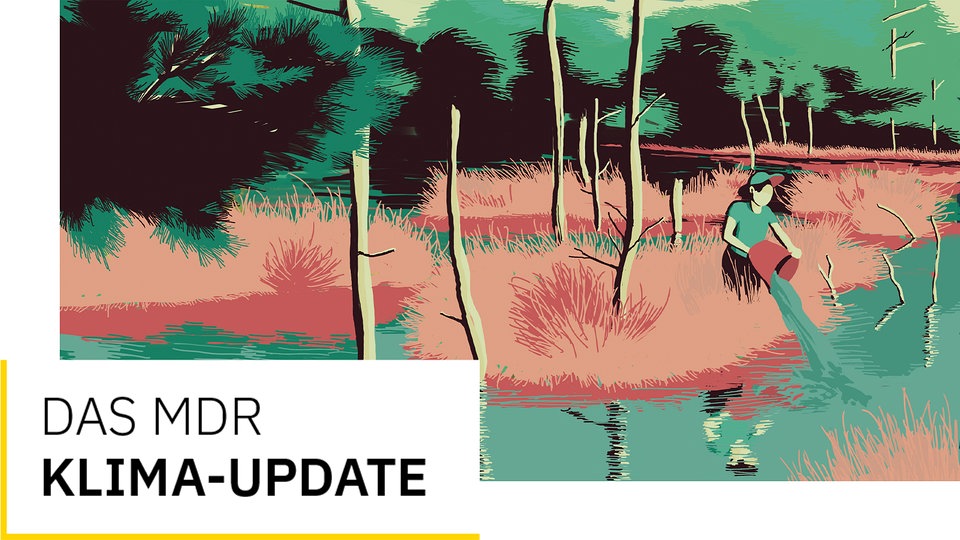 Klima-Update: Das Renaturierungsgesetz ist durch – wird jetzt alles gut? | MDR.DE