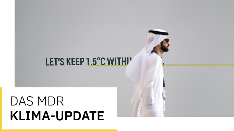 COP 28 Fazit: Die Greenwashing-Konferenz? | MDR.DE