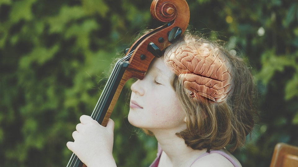 Gehirn von Musizierenden lässt sich an der Struktur erkennen | MDR.DE