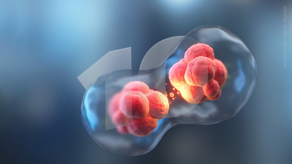 Was ist Leben? | MDR.DE