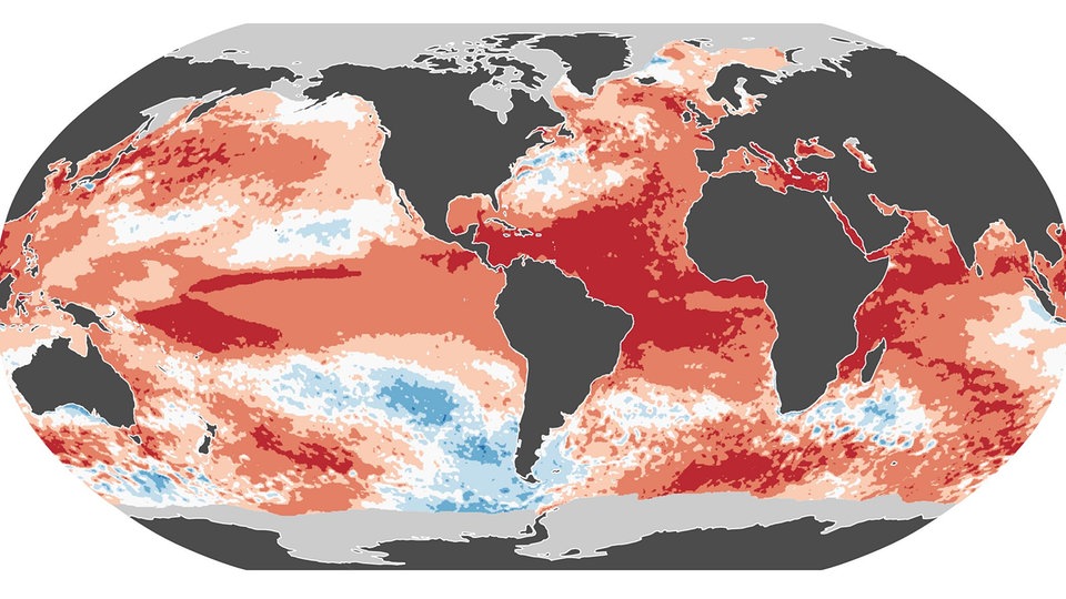 Weltmeere so warm wie nie zuvor